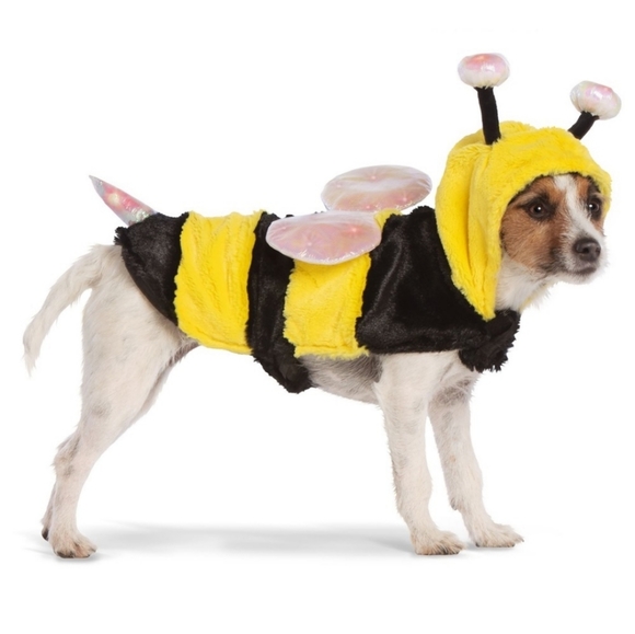 Pet Costume | Dog | Dog Bumblebee Costume With Velcro No Hat | Poshmark